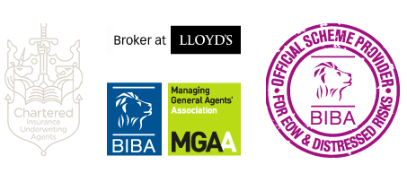 magenta flood - Products - Magenta Insurance